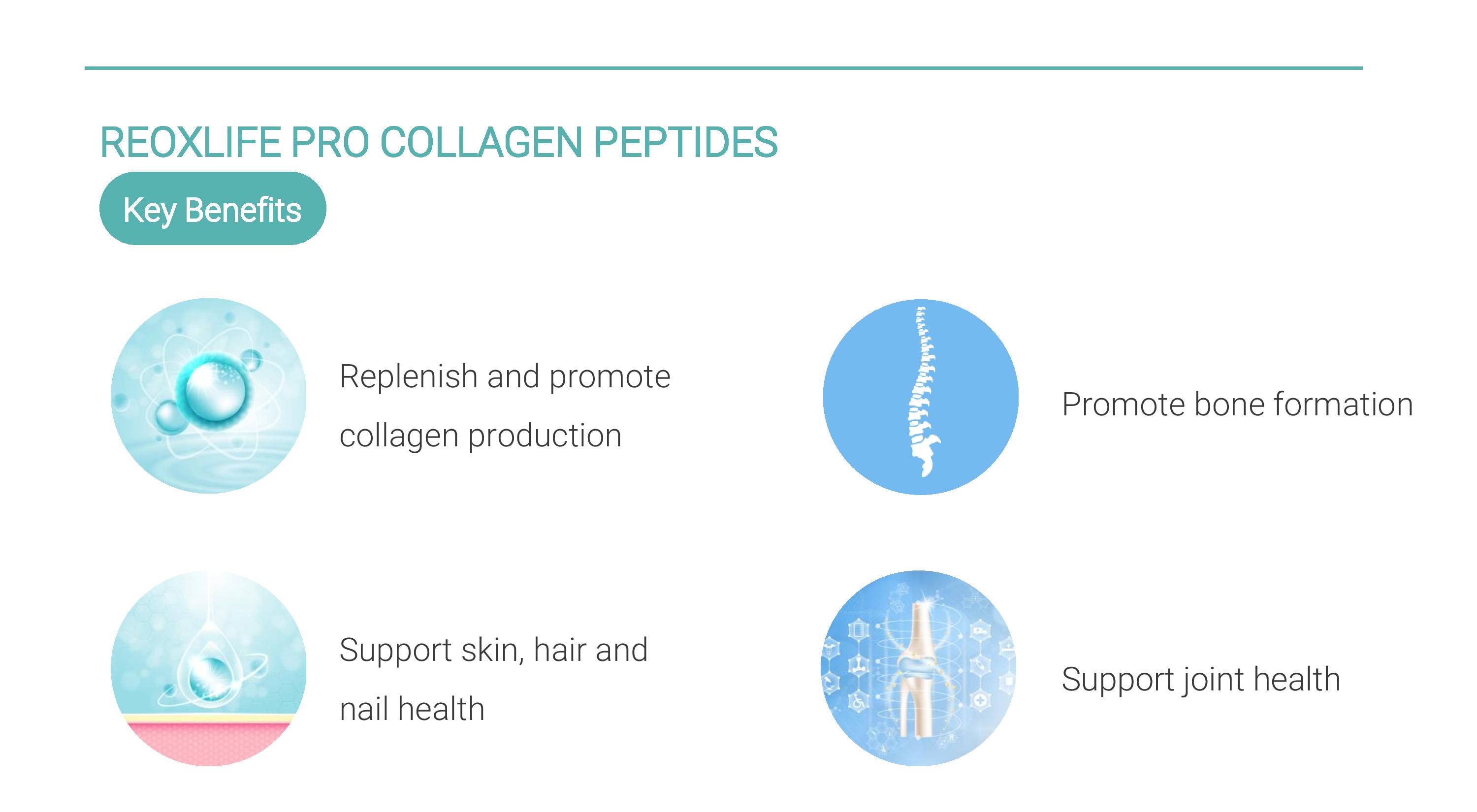 REOXlife PRO Collagen Peptides - 500G - Return Legacy