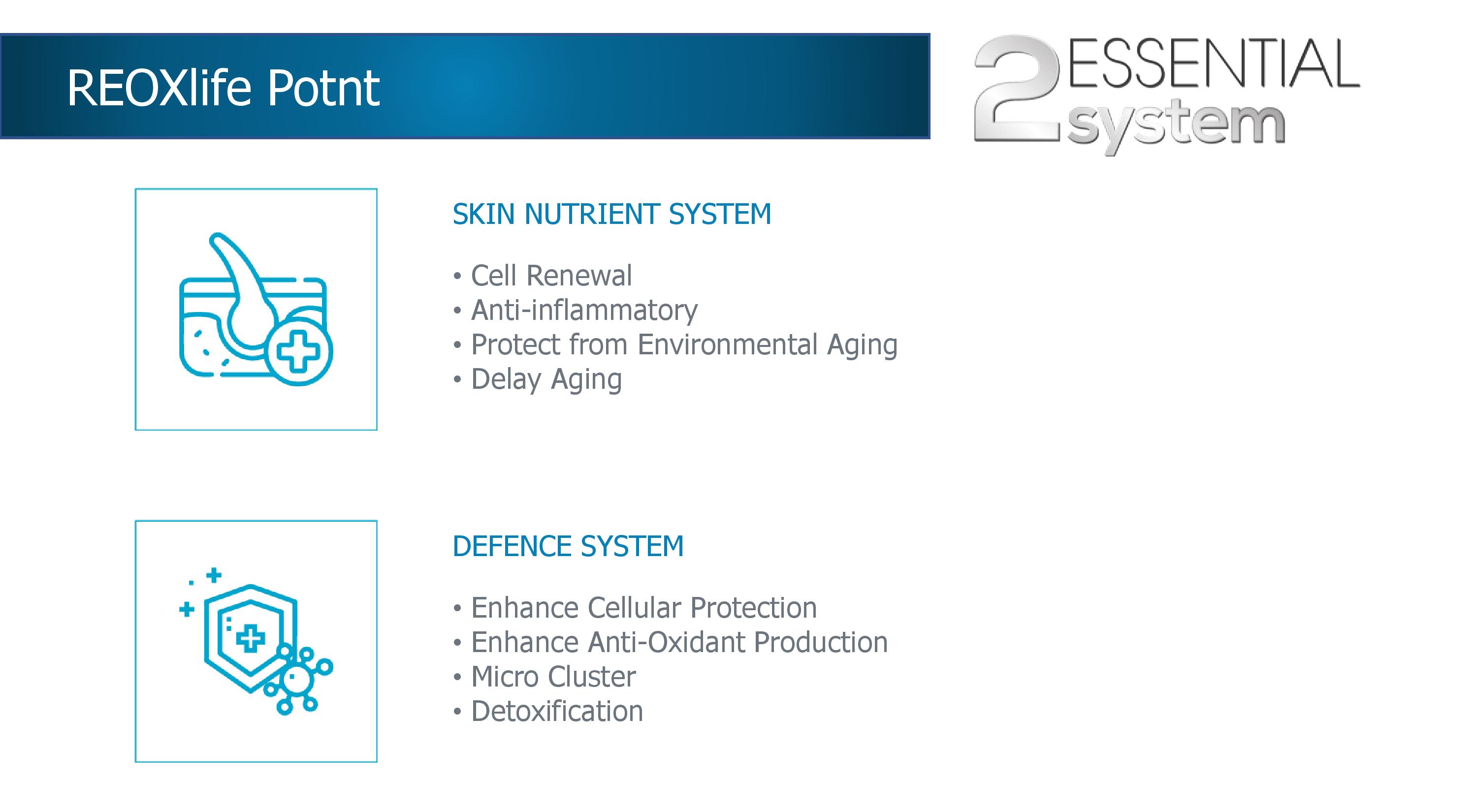 REOXlife Potnt - Return Legacy